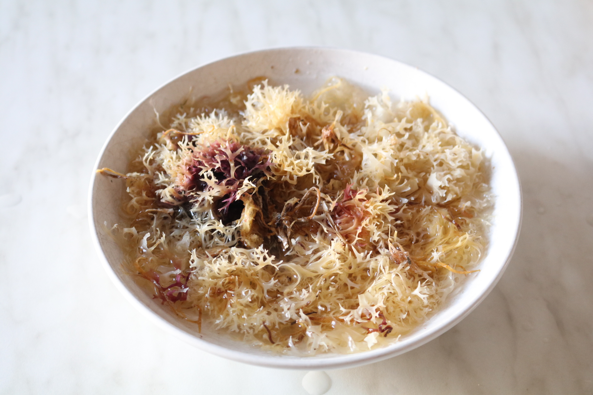 Irish Moss Organic Dried Whole Leaf Sustainable Wildcrafted