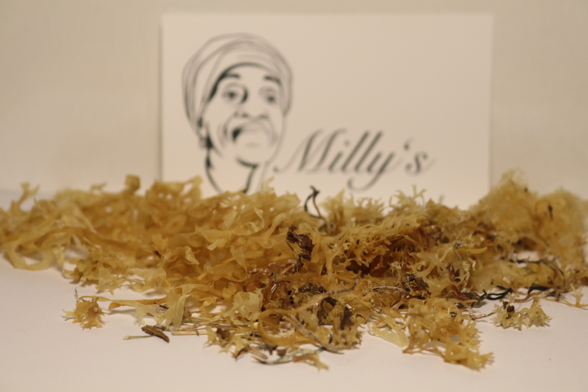 Irish Moss Organic Dried Whole Leaf Sustainable Wildcrafted